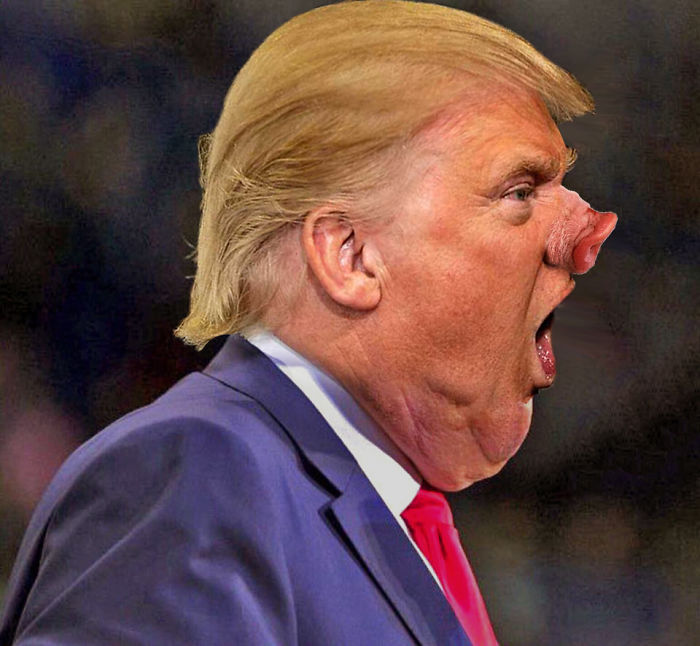 The Internet Trolls Trump With A Double Chin Photoshop Battle