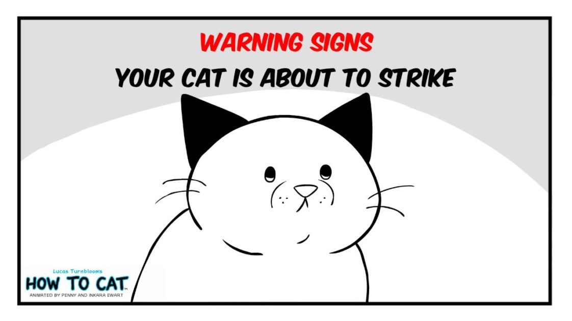 Every Procrastinator Will Totally Relate To These Funny Deadline Memes